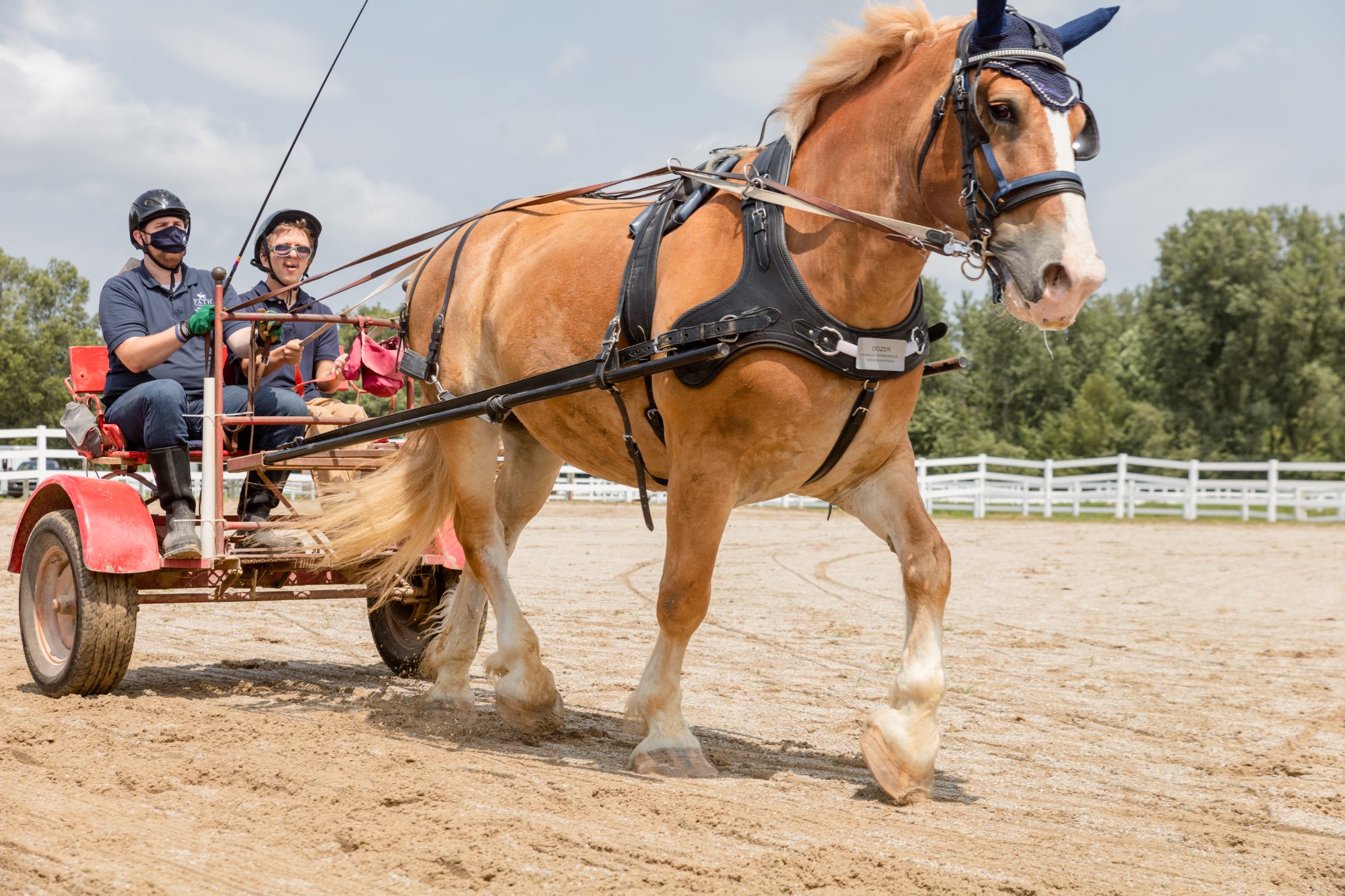 US Aggregates | US Aggregates Joins One HC+M Effort for Reins of Life ...